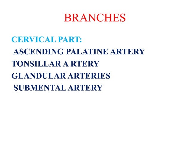 External carotid artery, branches and ligation | PPTX