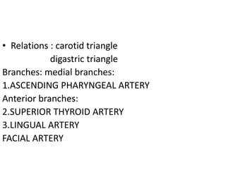 EXTERNAL CAROTID copy.pptx