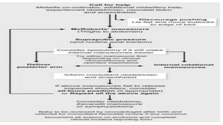 External_cephalic_version_and_Internal_podalic_version_for_Anst.ppt