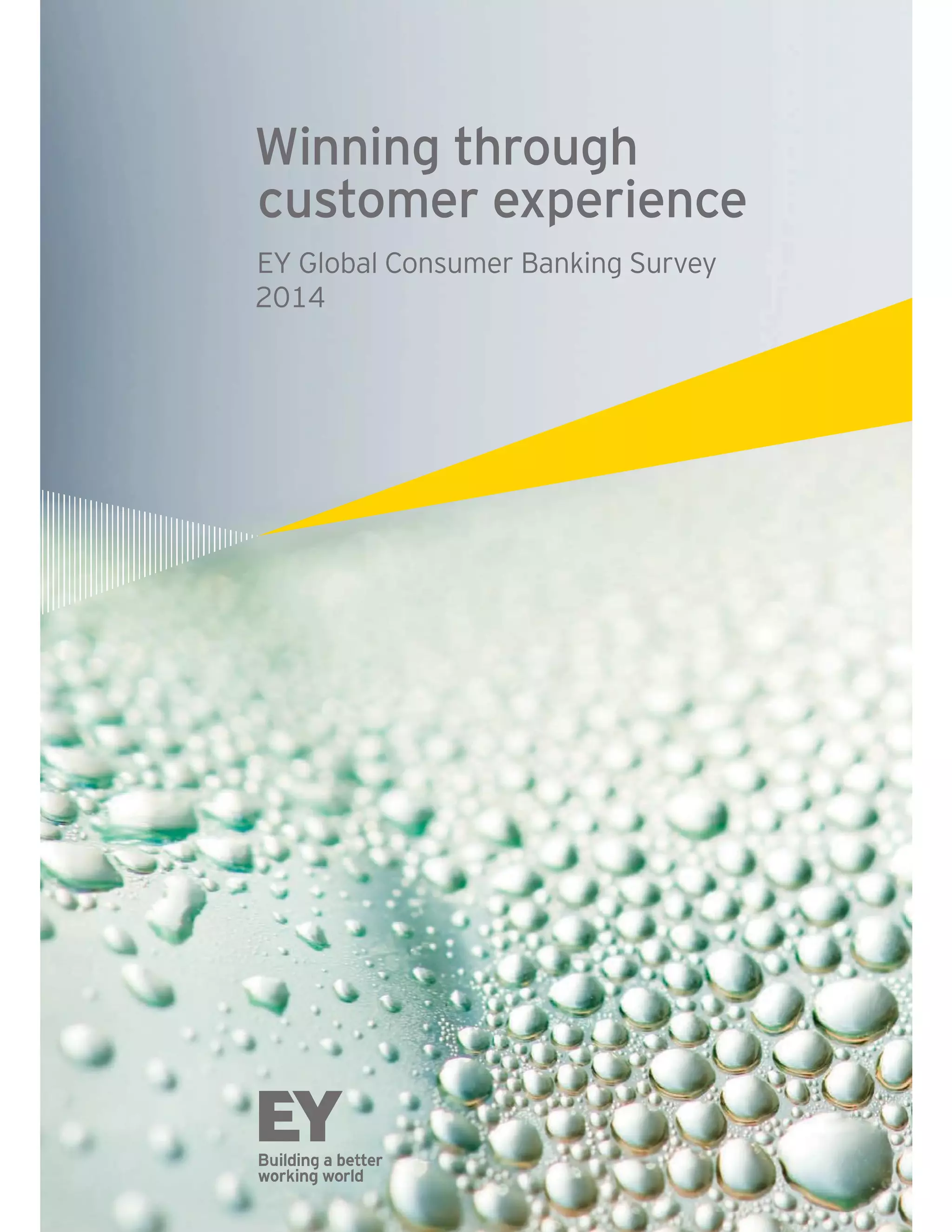 EY Global Consumer Banking Survey | PDF