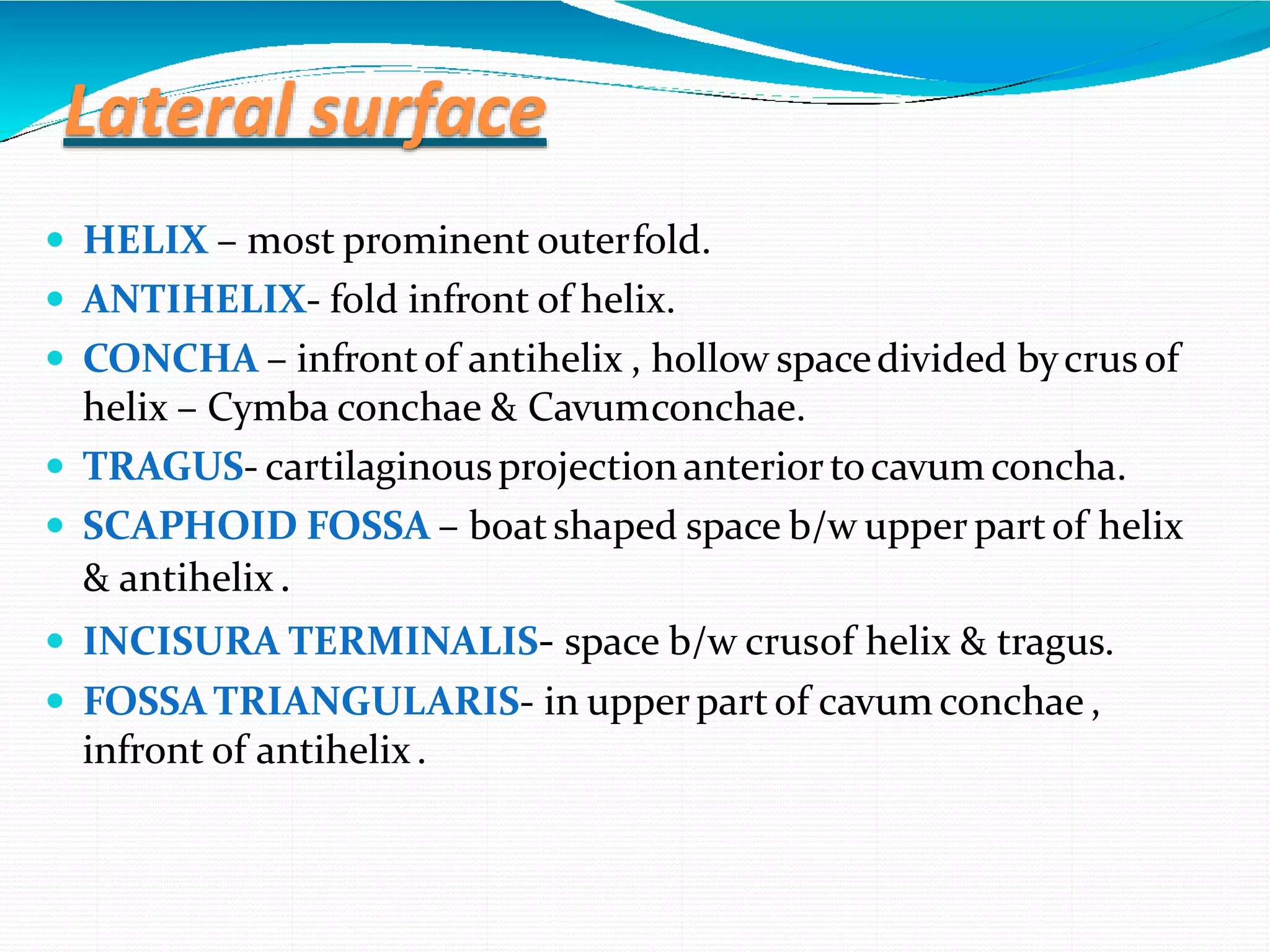 ANATOMY OF EXTERNAL EAR | PPTX