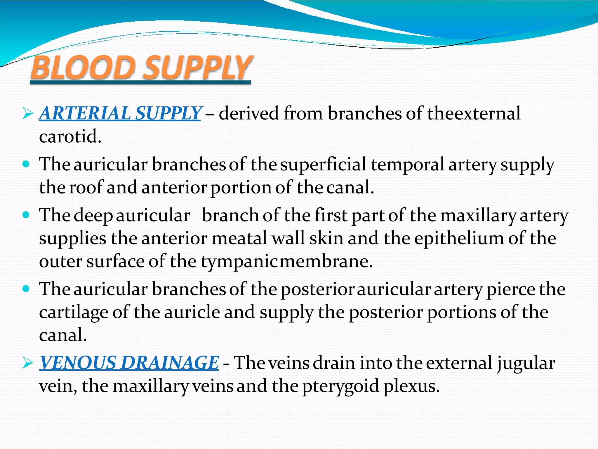 ANATOMY OF EXTERNAL EAR | PPTX