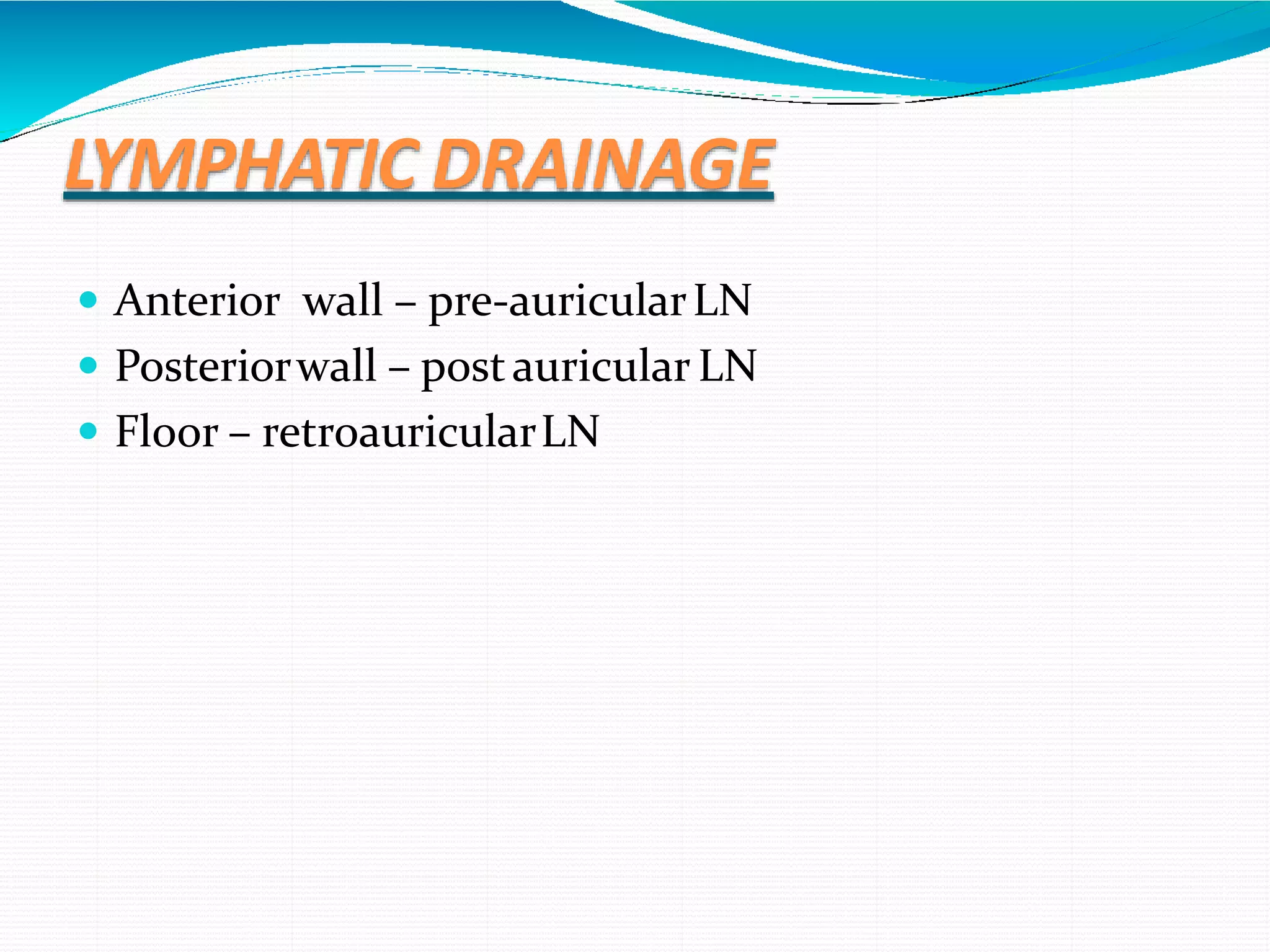 ANATOMY OF EXTERNAL EAR | PPTX