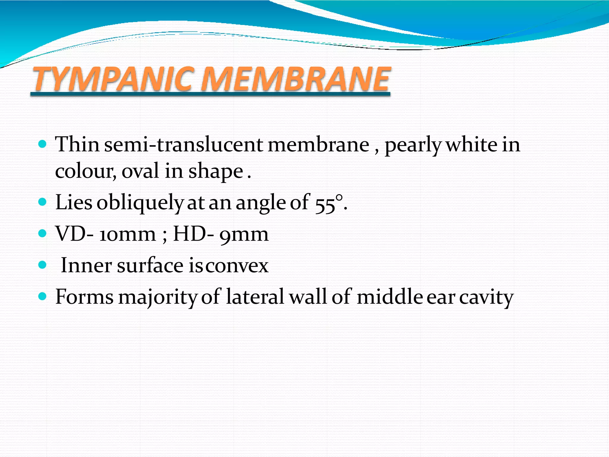 ANATOMY OF EXTERNAL EAR | PPTX
