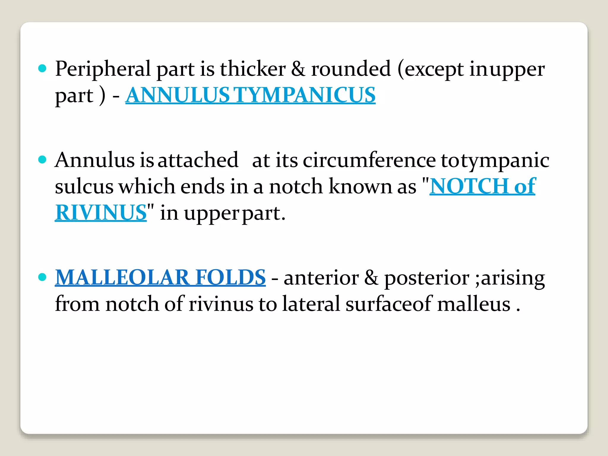 ANATOMY OF EXTERNAL EAR | PPTX