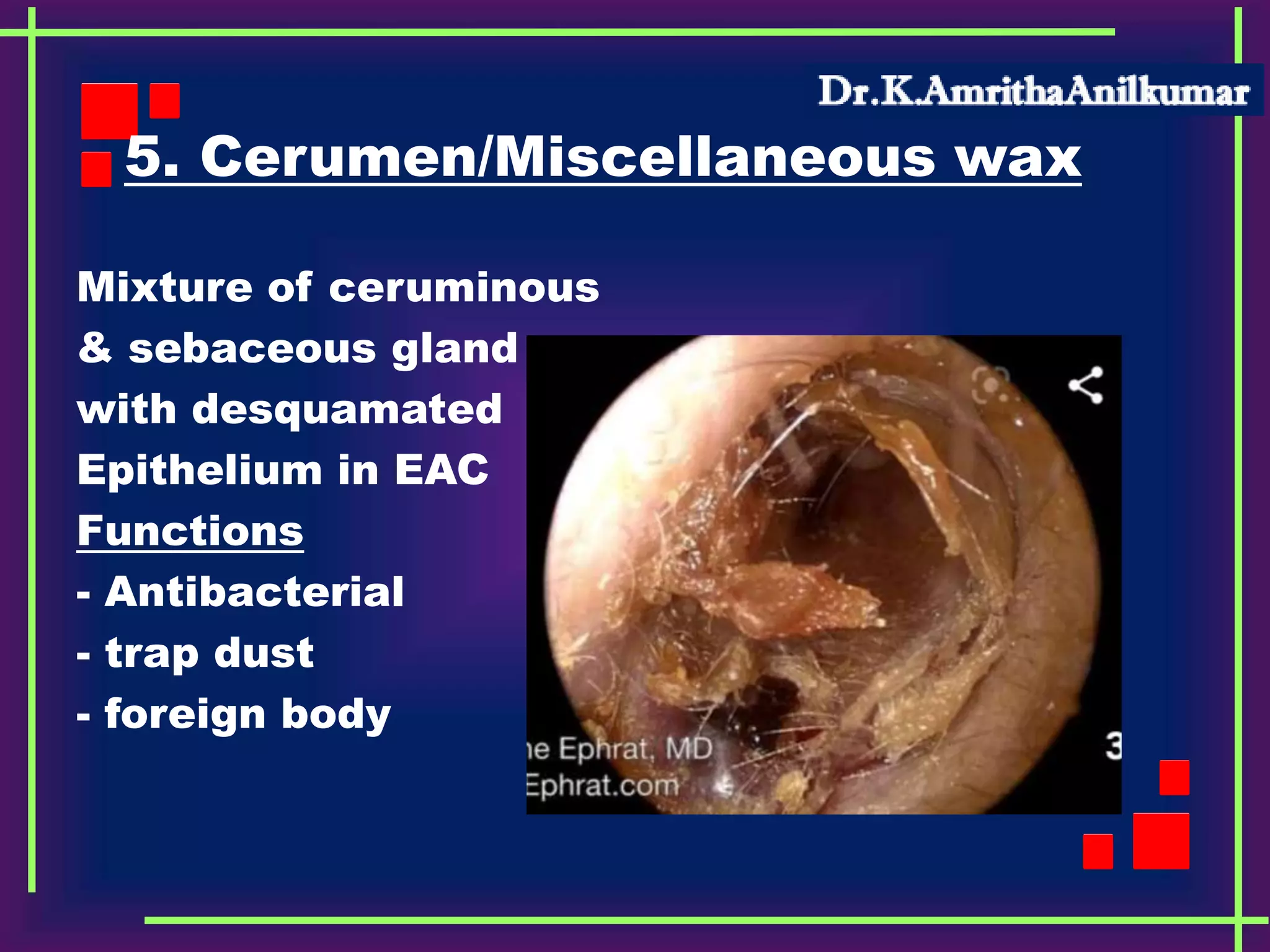 Anatomy of ear(Part 1-External Ear) by Dr.K.AmrithaAnilkumar | PPTX ...