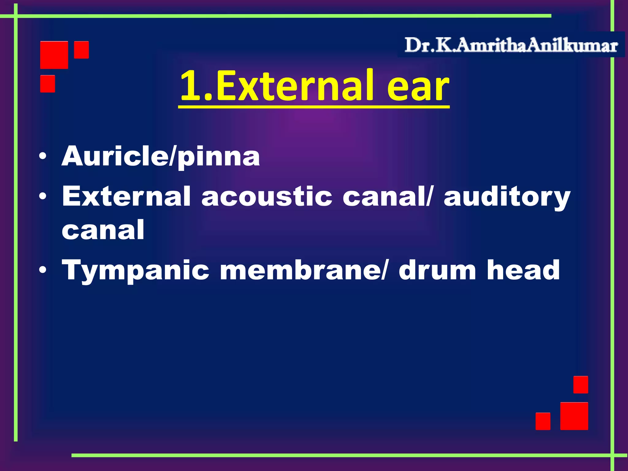 Anatomy of ear(Part 1-External Ear) by Dr.K.AmrithaAnilkumar | PPTX ...