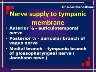Anatomy of ear(Part 1-External Ear) by Dr.K.AmrithaAnilkumar | PPTX