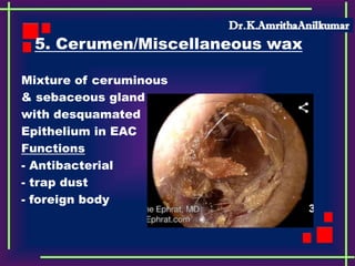 Anatomy of ear(Part 1-External Ear) by Dr.K.AmrithaAnilkumar | PPTX ...