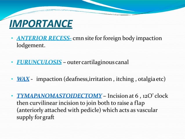 external ear.pptx