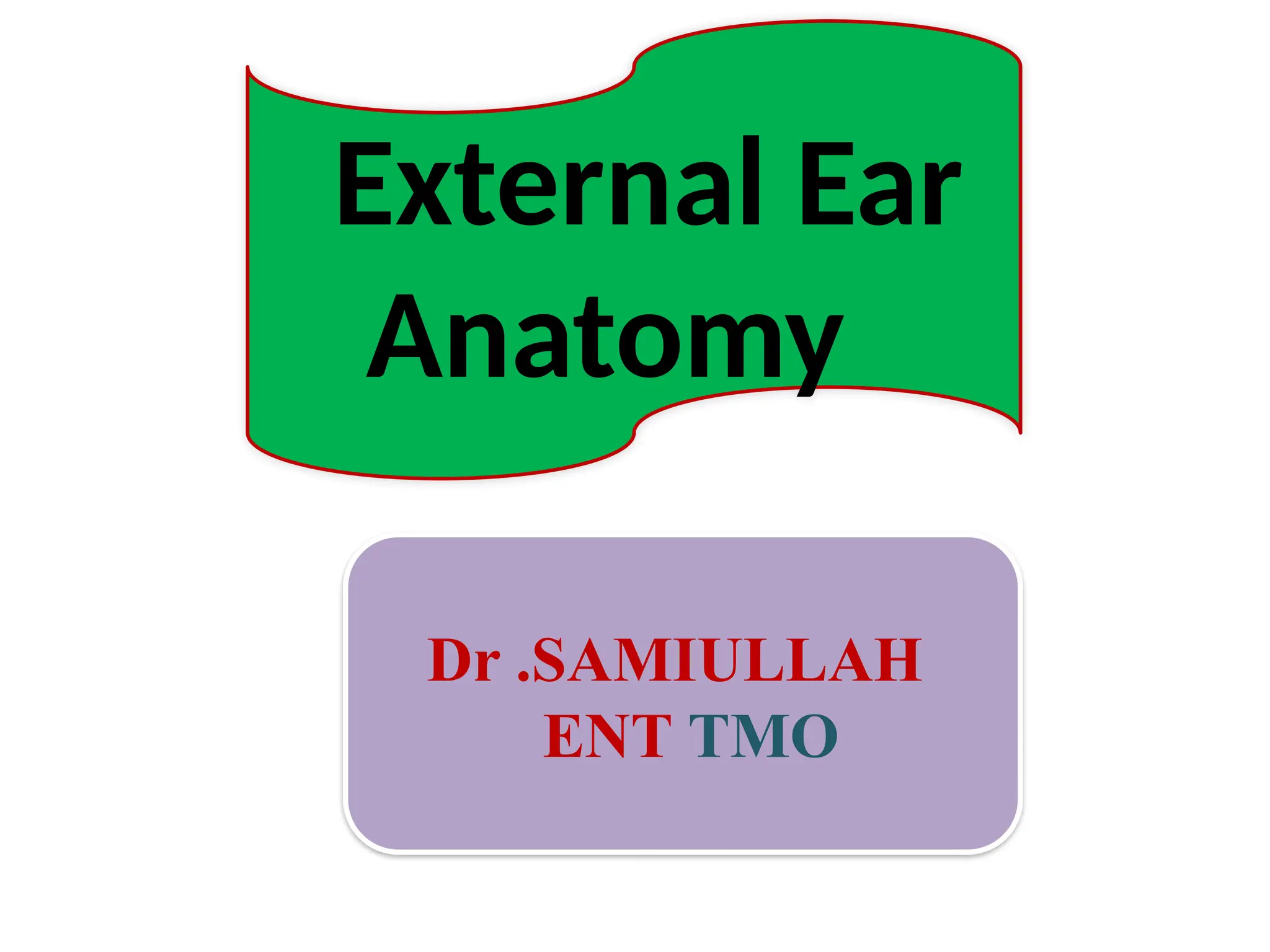 external ear anatomy with diagrams .pptx