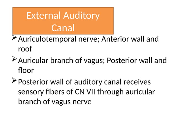 external ear anatomy with diagrams .pptx