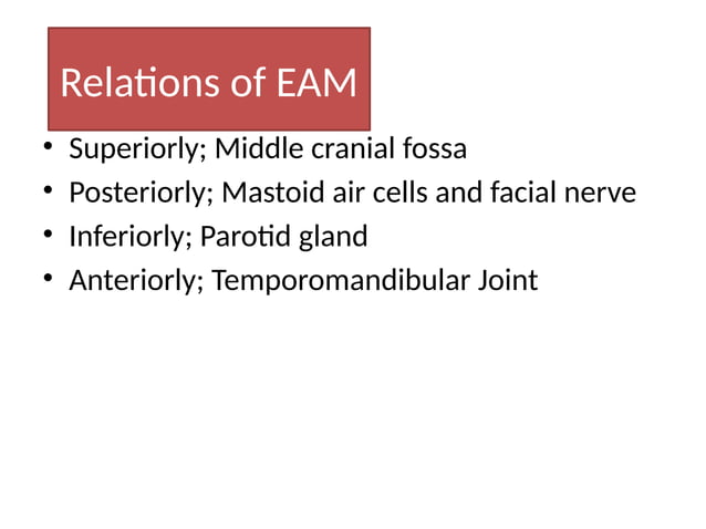 external ear anatomy with diagrams .pptx