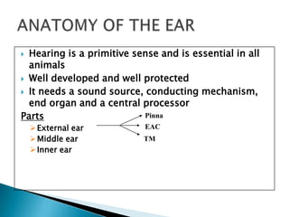 External ear anatomy | PPTX