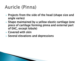 External ear anatomy | PPTX