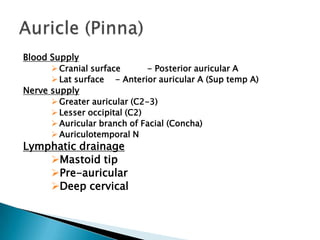 External ear anatomy | PPTX