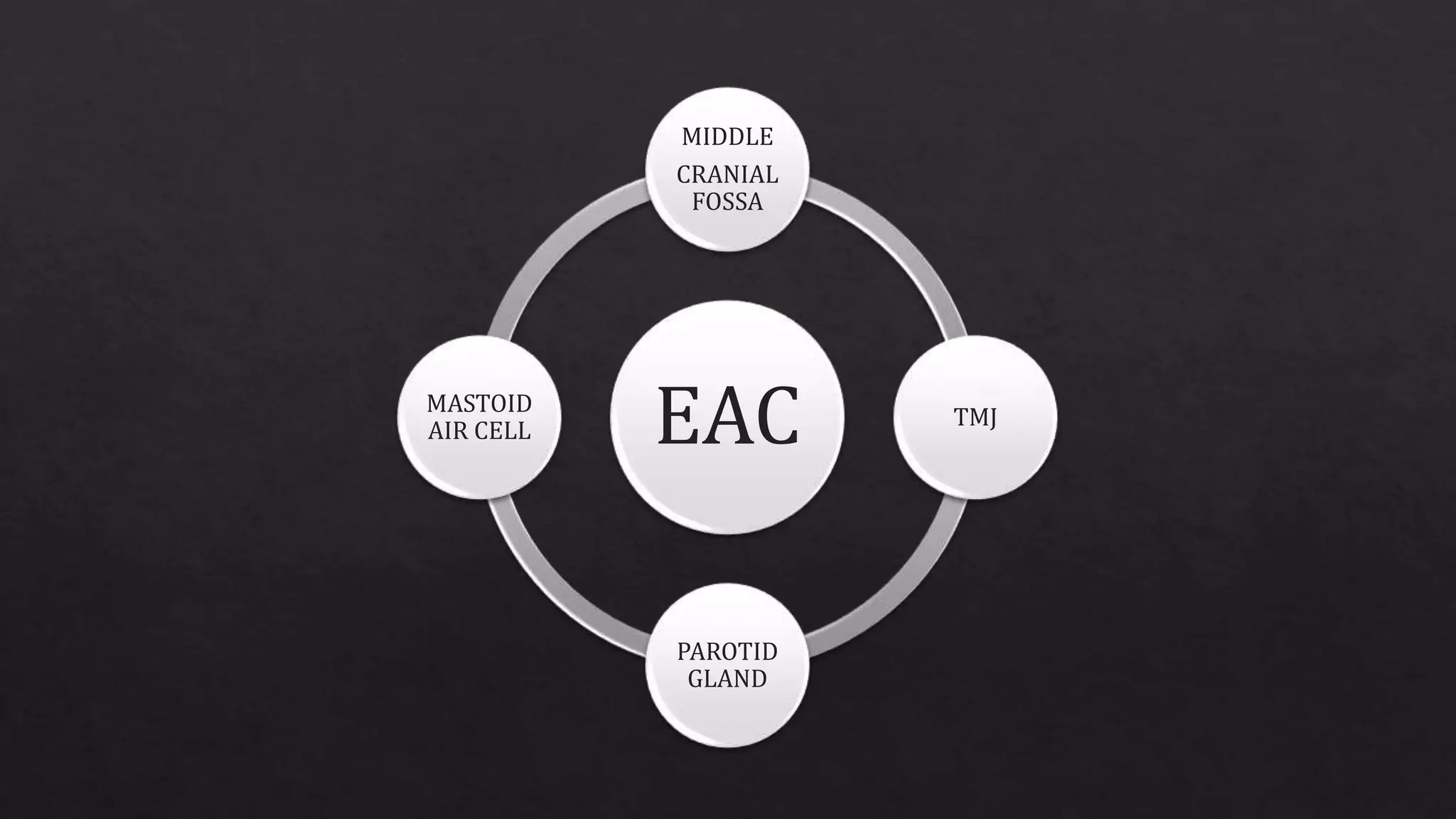 External ear anatomy | PPTX