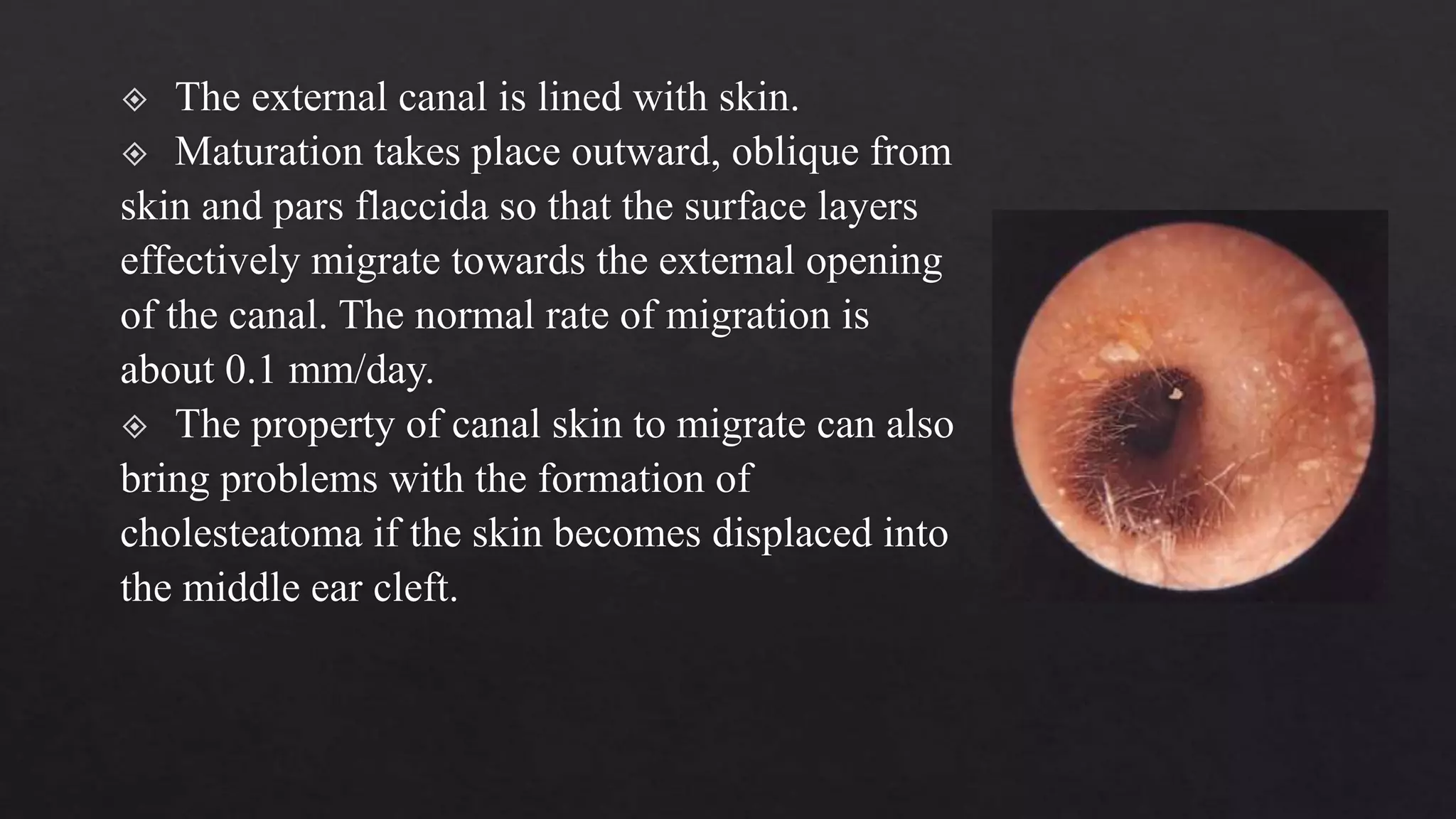 External ear anatomy | PPTX