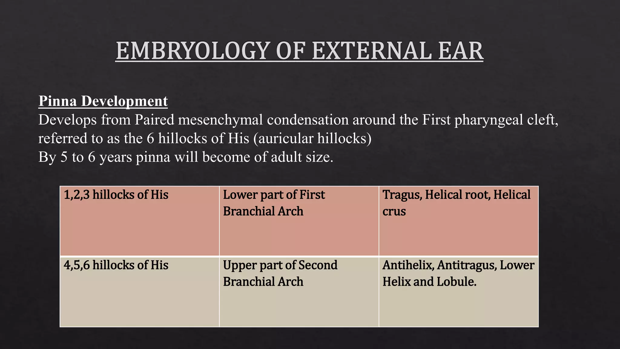 External ear anatomy | PPTX