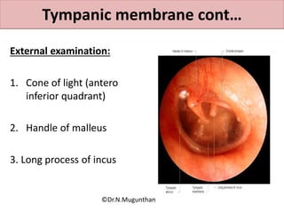 Examination Of The Ear Tympanic Membrane Hearing Tests