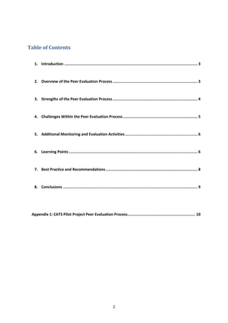 External evaluation of the peer evaluation process final1 | PDF