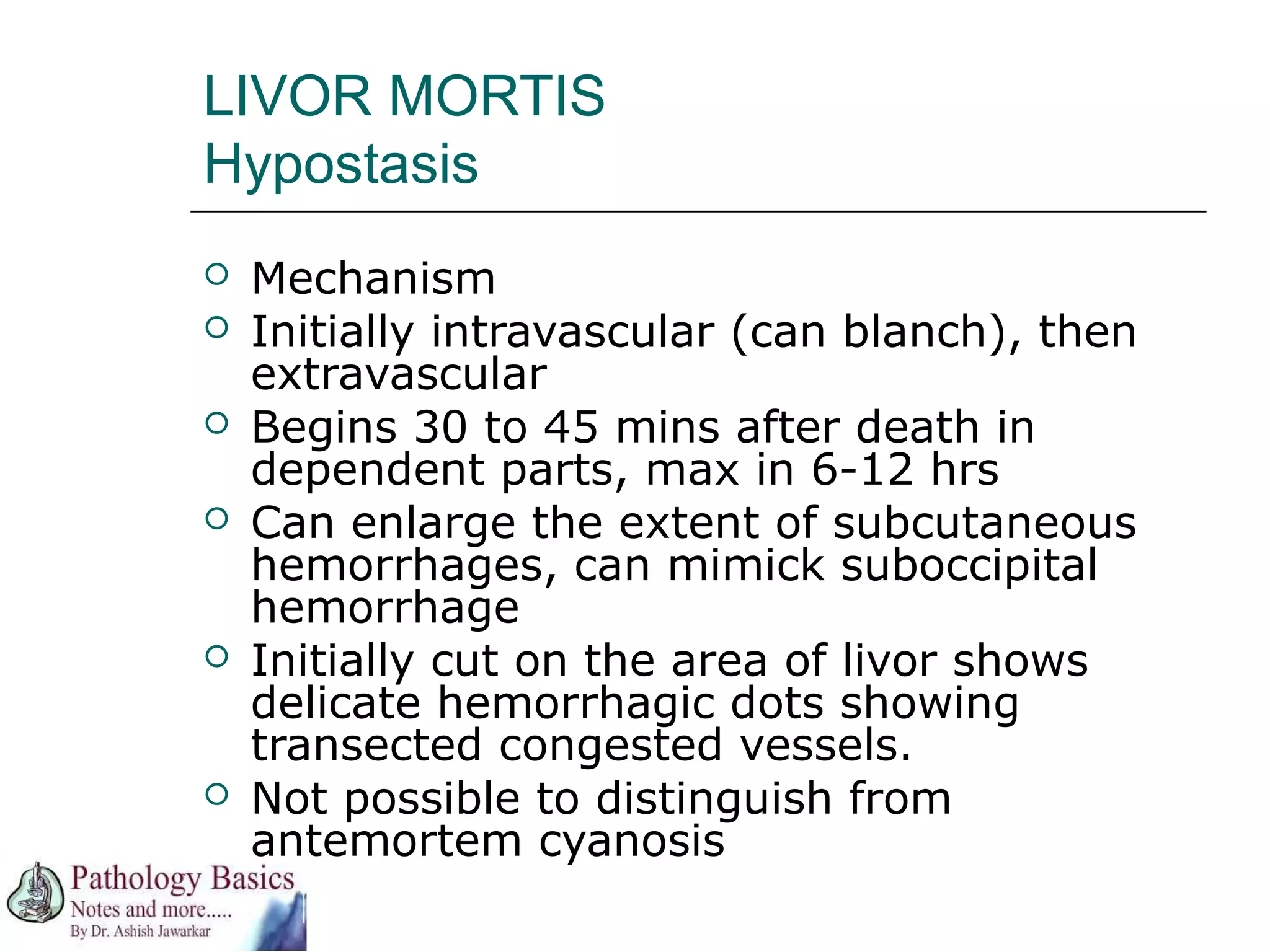 External examination at autopsy | PPT