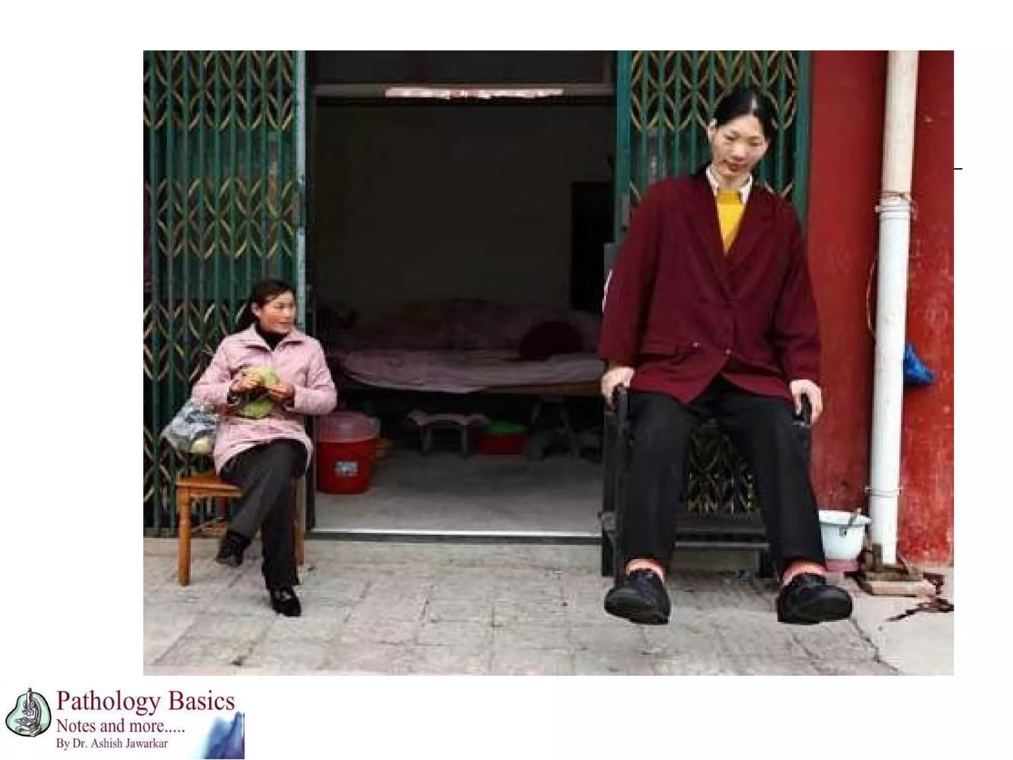 External examination at autopsy | PPT