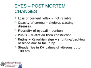 External examination at autopsy | PPT