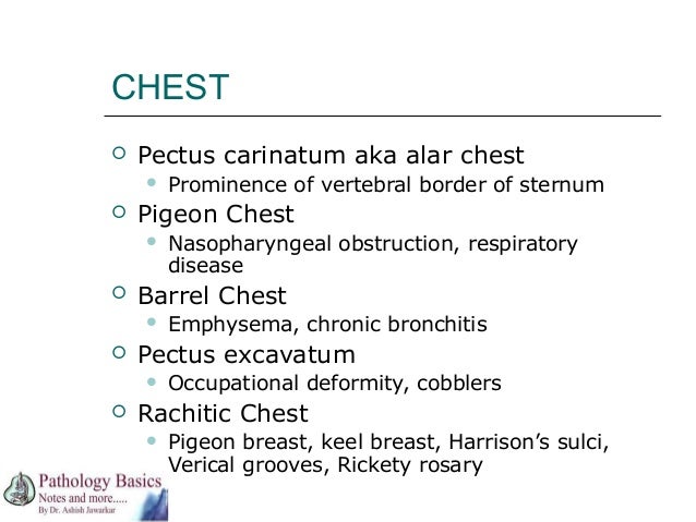 External examination at autopsy