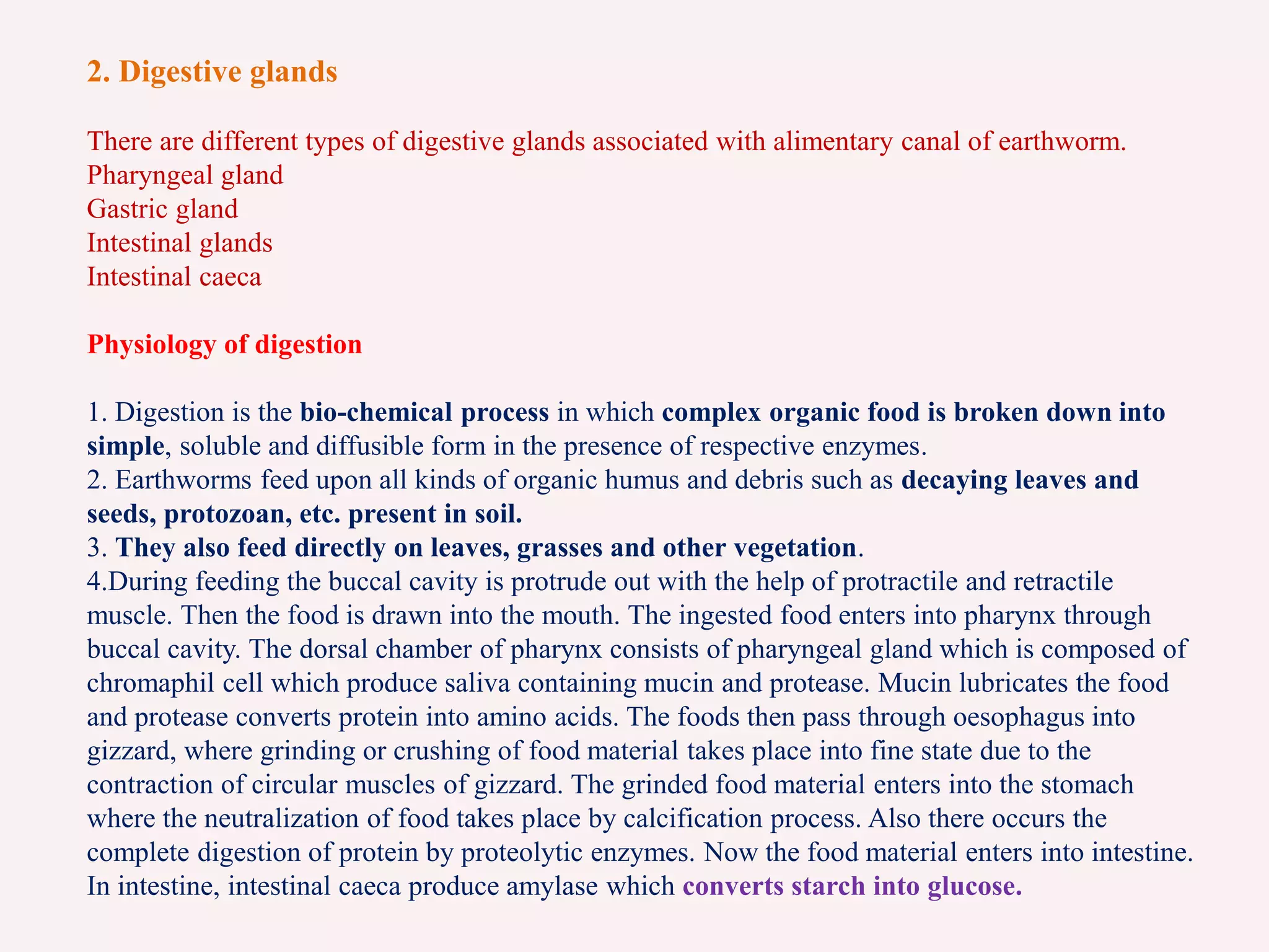 External features &digestive system of earthworm, Physiology of ...