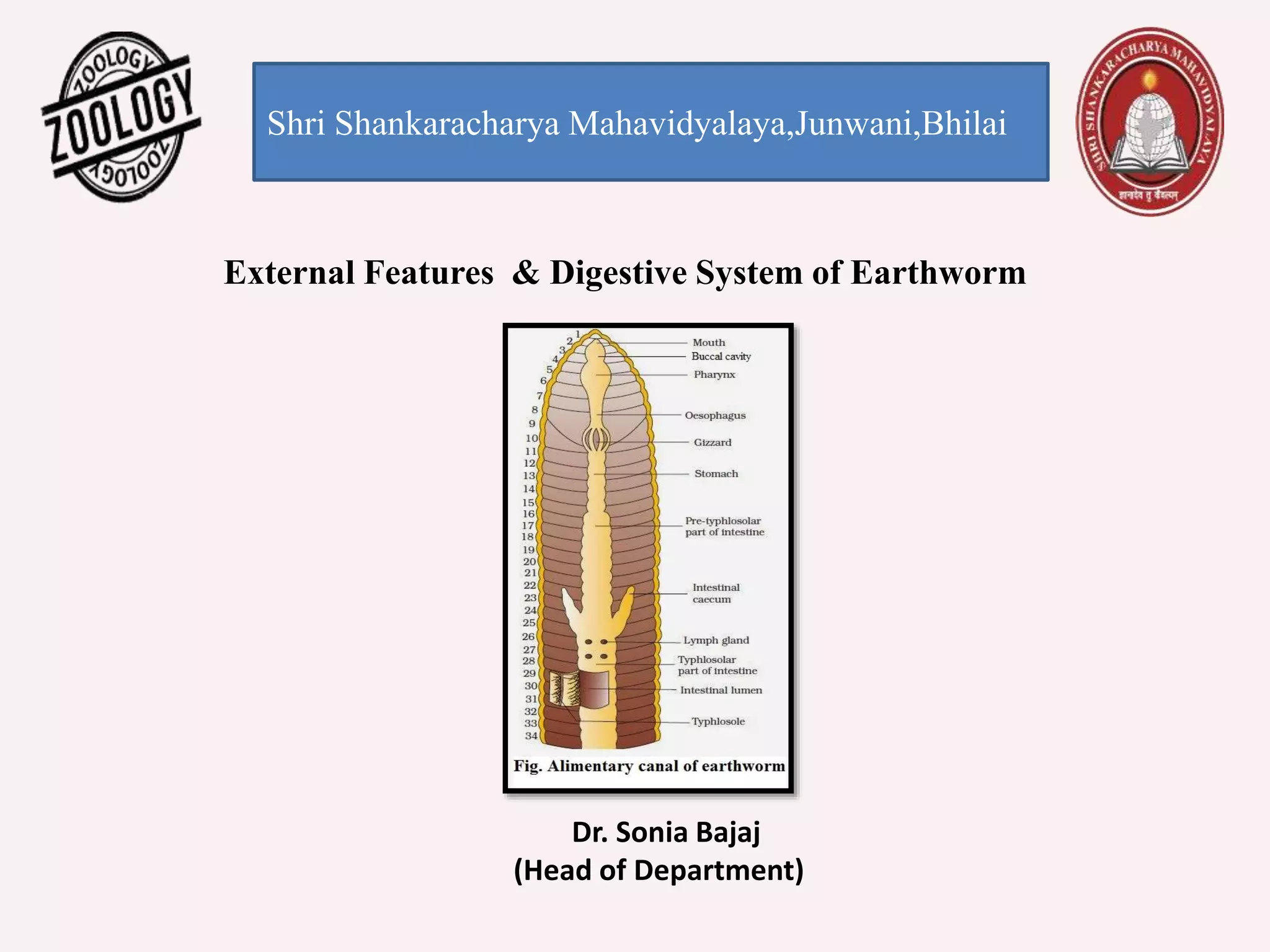 External features &digestive system of earthworm, Physiology of ...