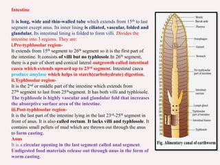 External features &digestive system of earthworm, Physiology of ...