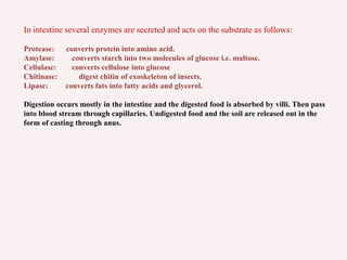 External features &digestive system of earthworm, Physiology of ...