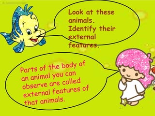 External features of animals | PPT