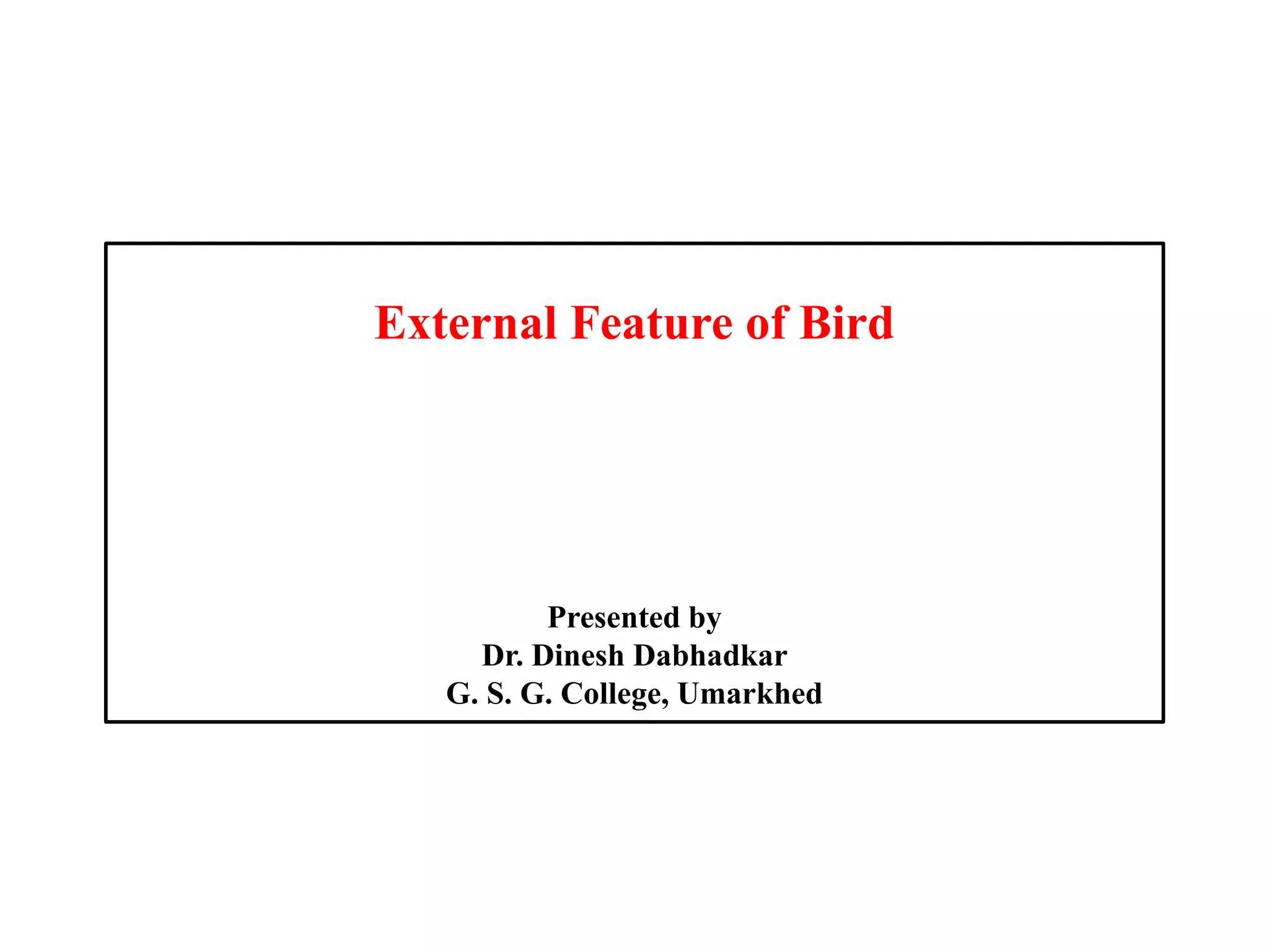 External features of birds | PPTX