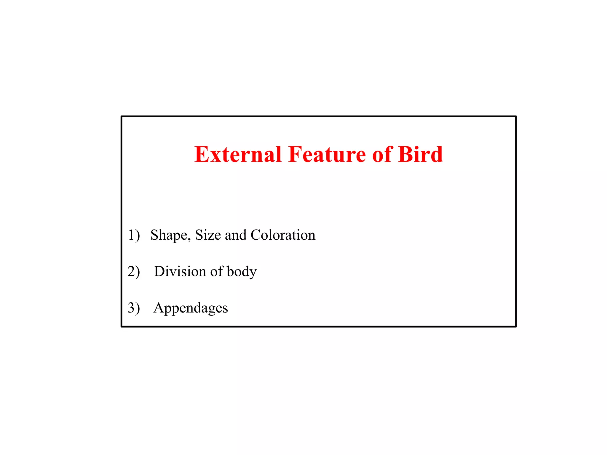 External features of birds | PPTX