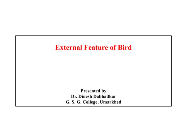 External features of birds | PPTX