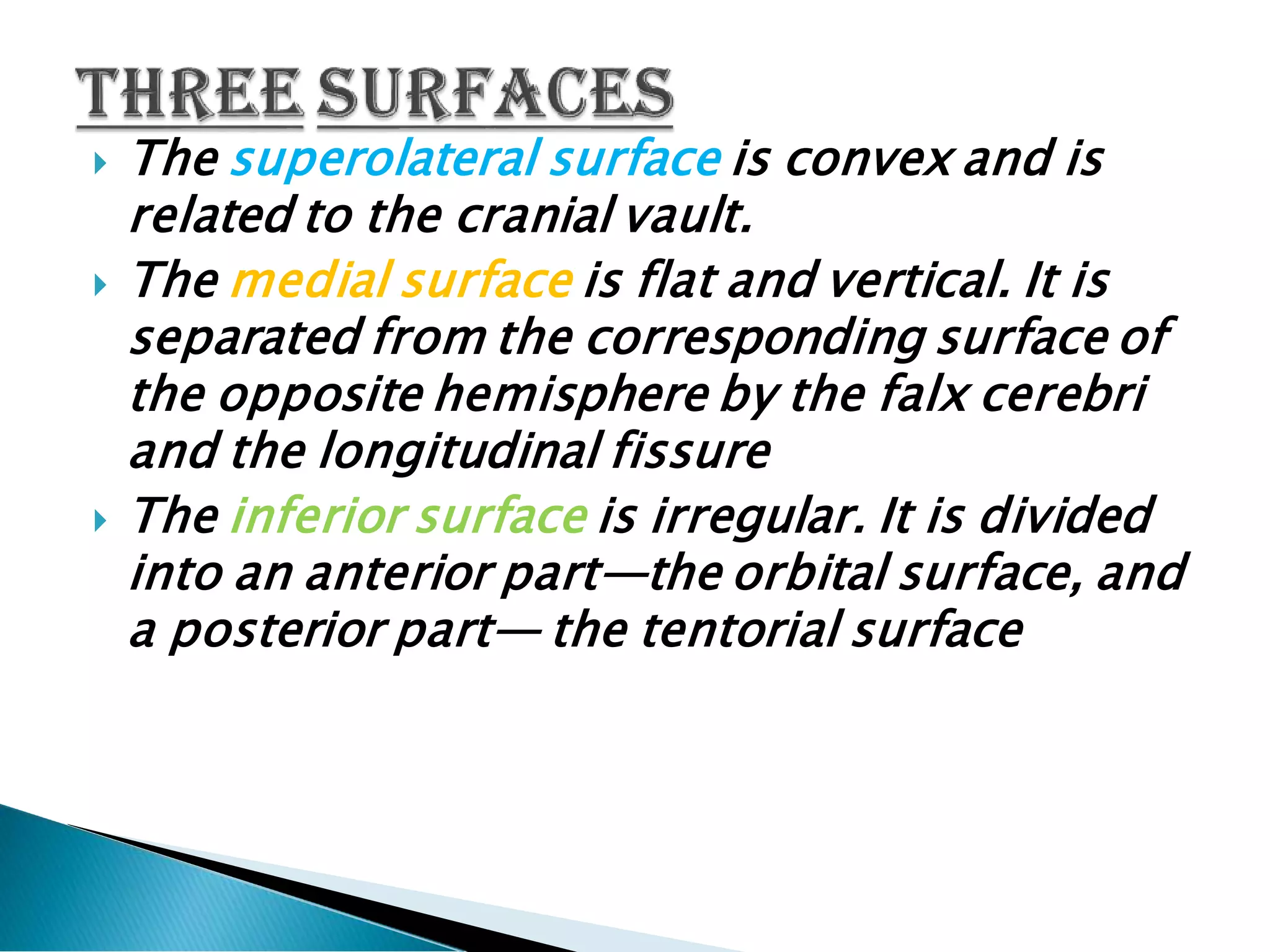EXTERNAL FEATURES OF CEREBRAL HEMISPHERE.pdf