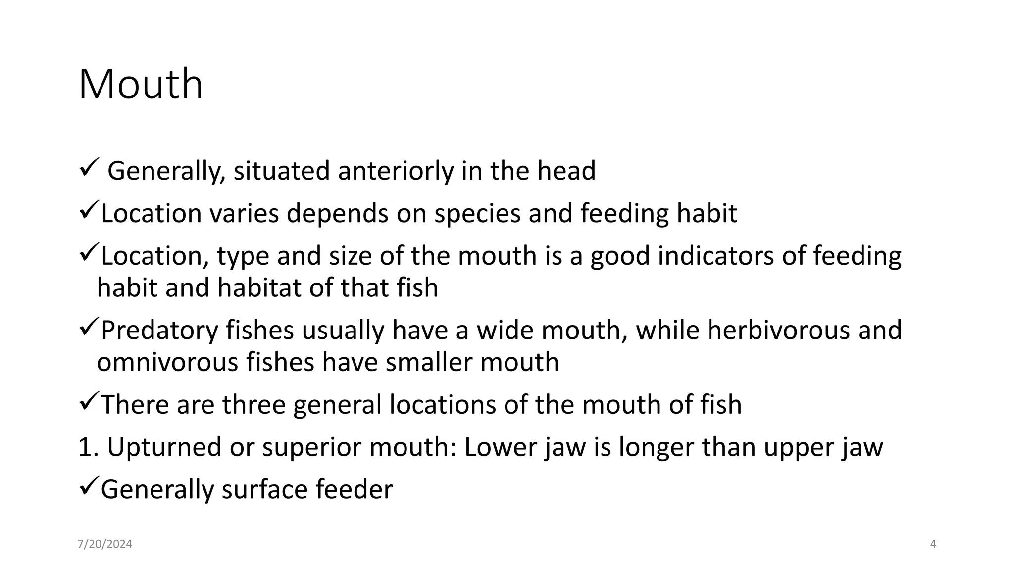 External Organ of Fish ( Anatomy of Fish ) | PPTX