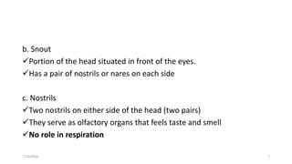 External Organ of Fish ( Anatomy of Fish ) | PPTX