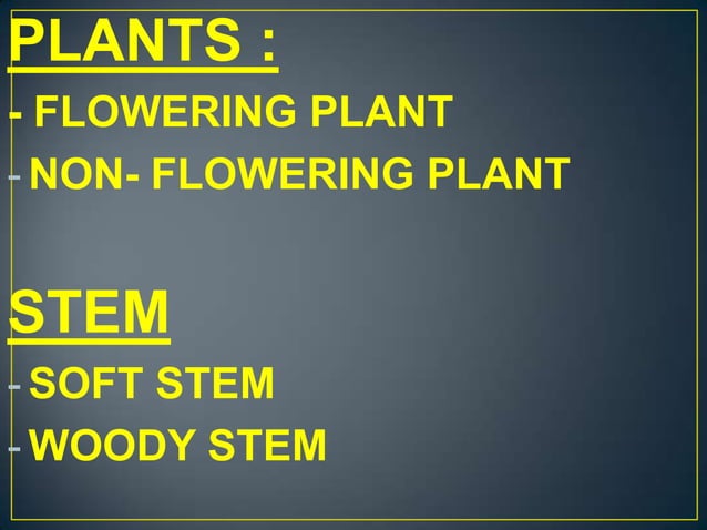 External features of plant | PPTX