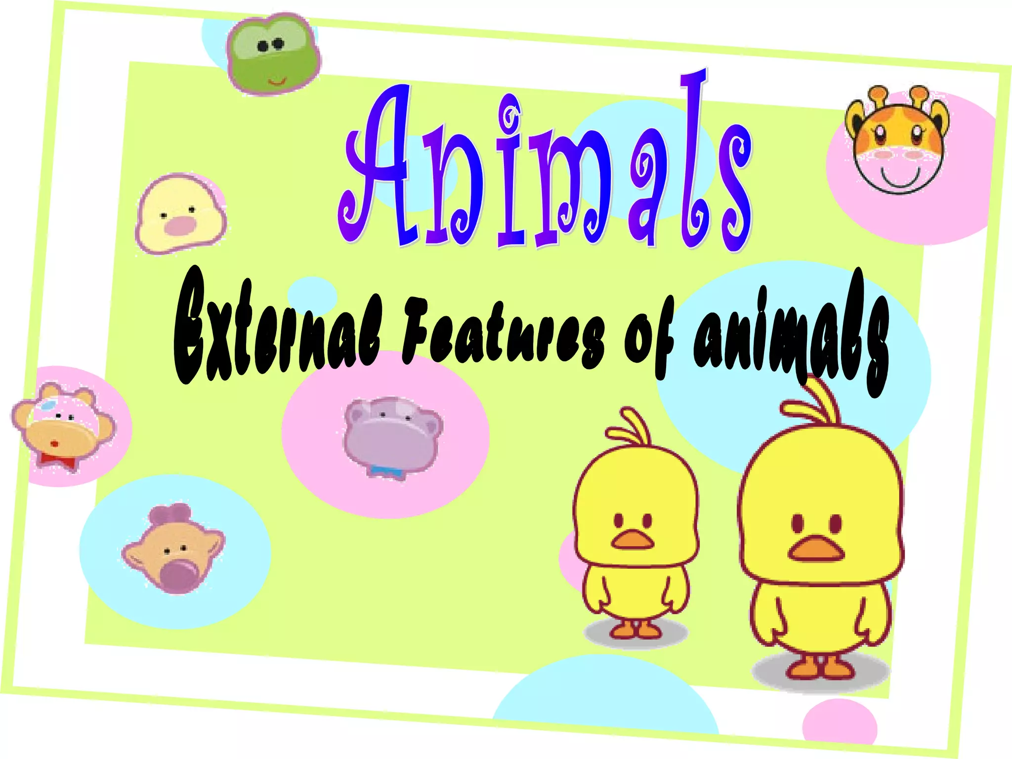 External features of the animals | PPT