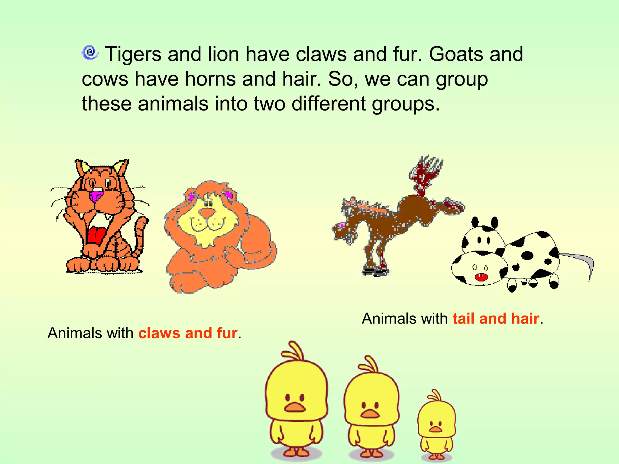 External features of the animals | PPT