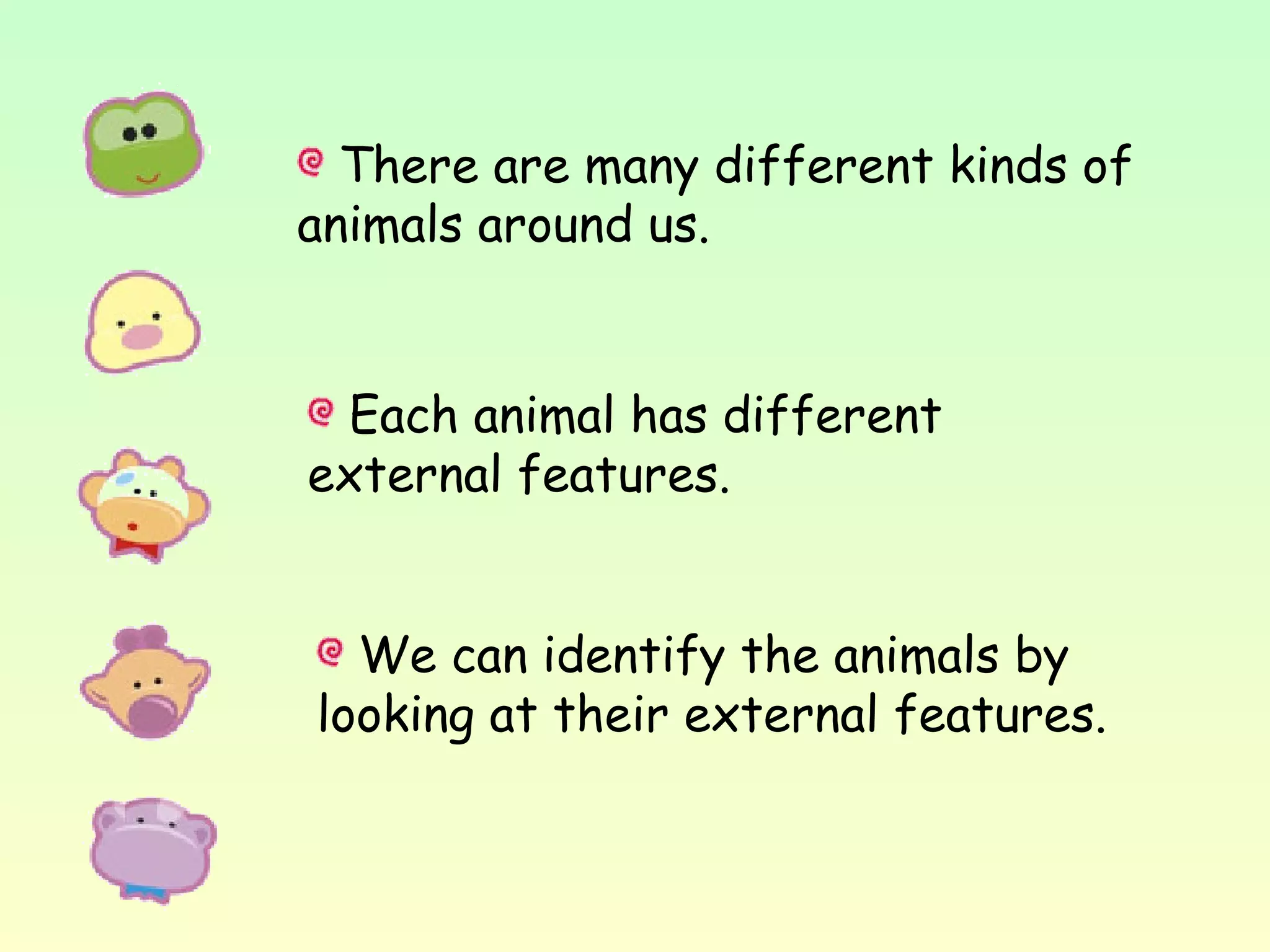 External features of the animals | PPT
