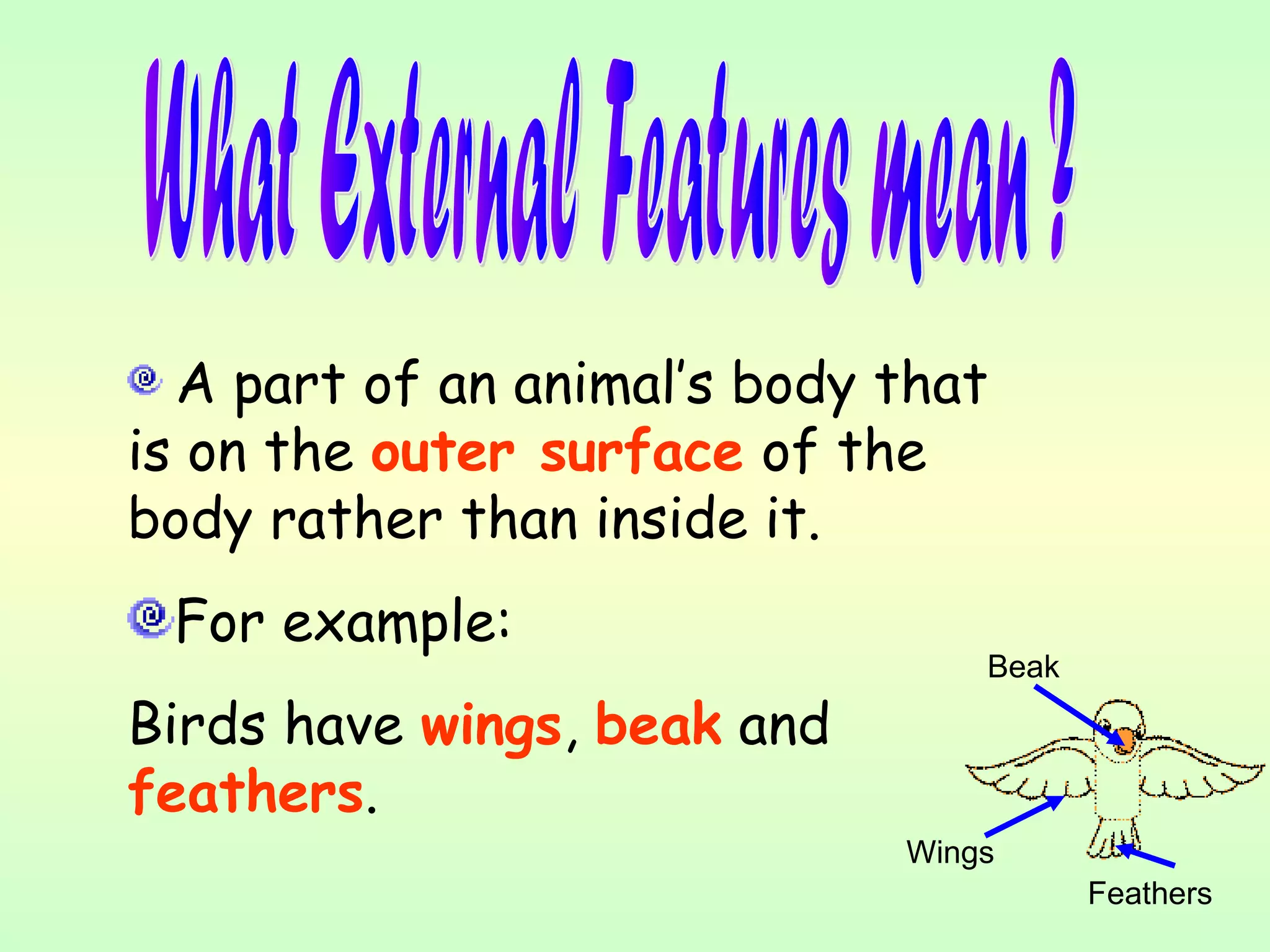 External features of the animals | PPT