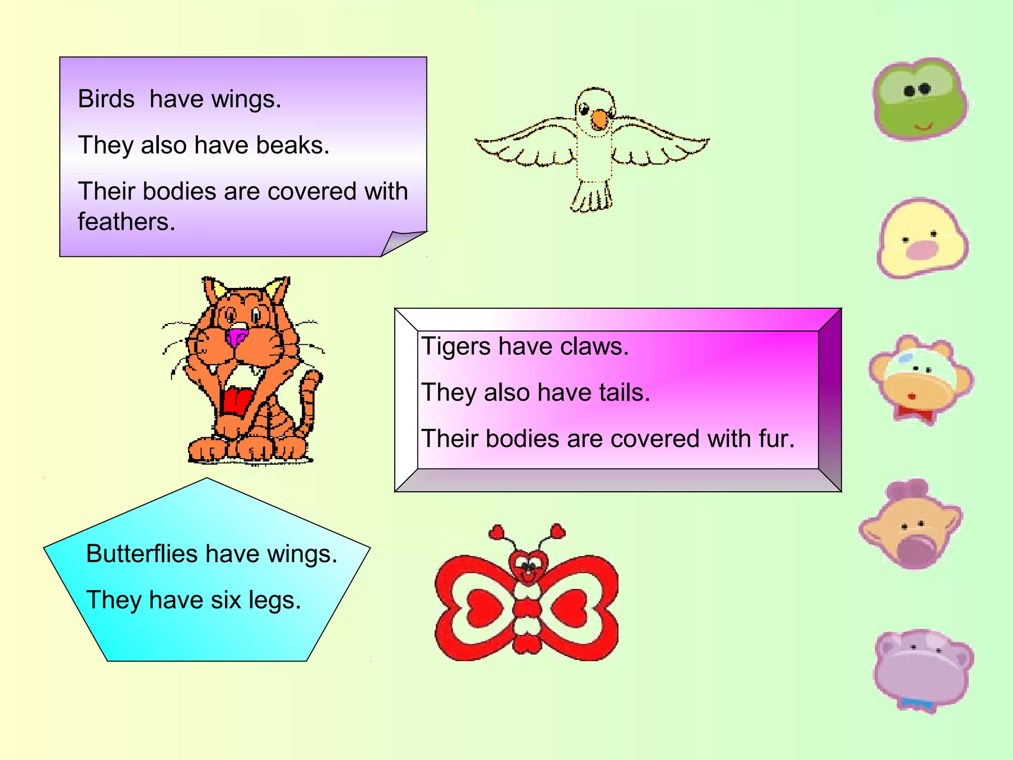 External features of the animals | PPT