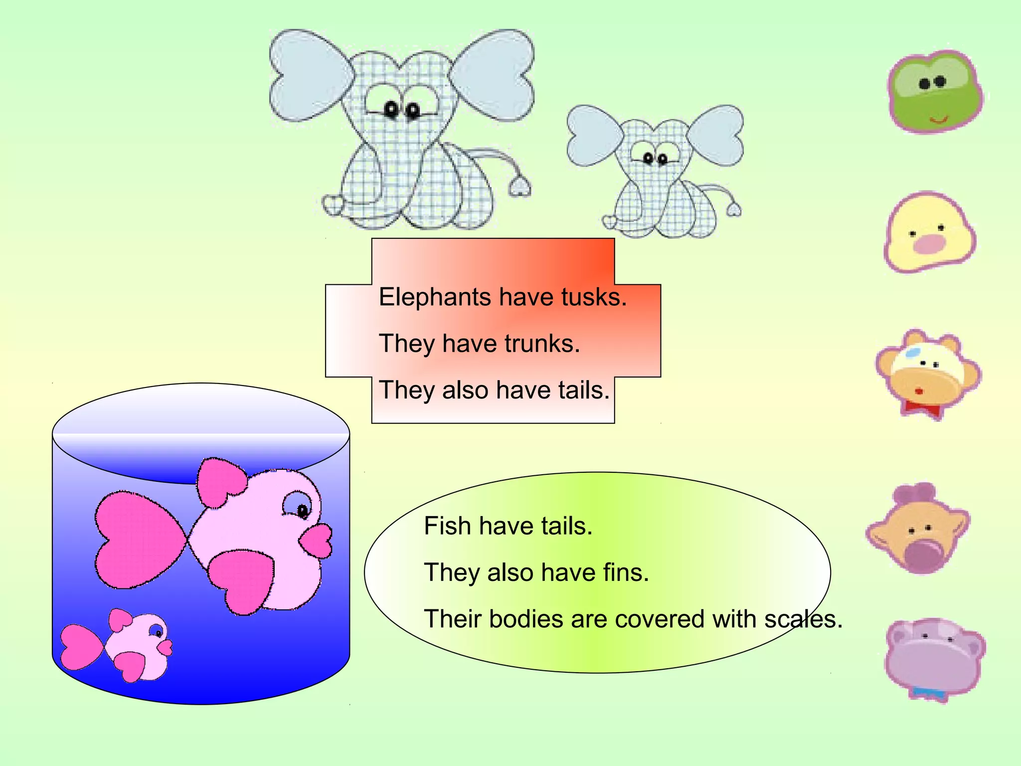 External features of the animals | PPT