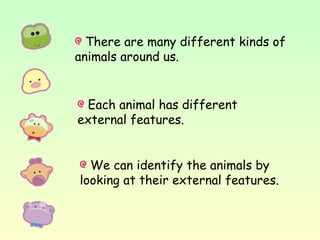 External features of the animals | PPT