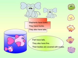 External features of the animals | PPT