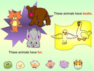 External features of the animals | PPT